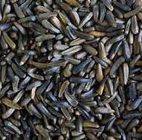 Jaggery Powder | Farmers Nest